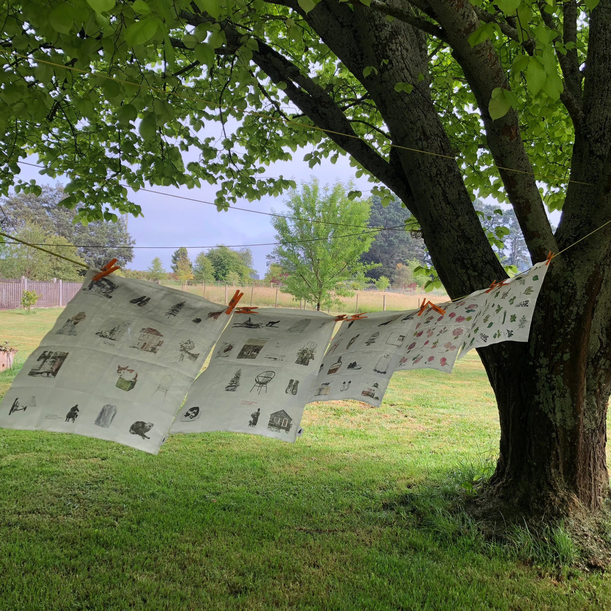 MISATO OGIHARA HANKACHI – Cavaletti Gallery