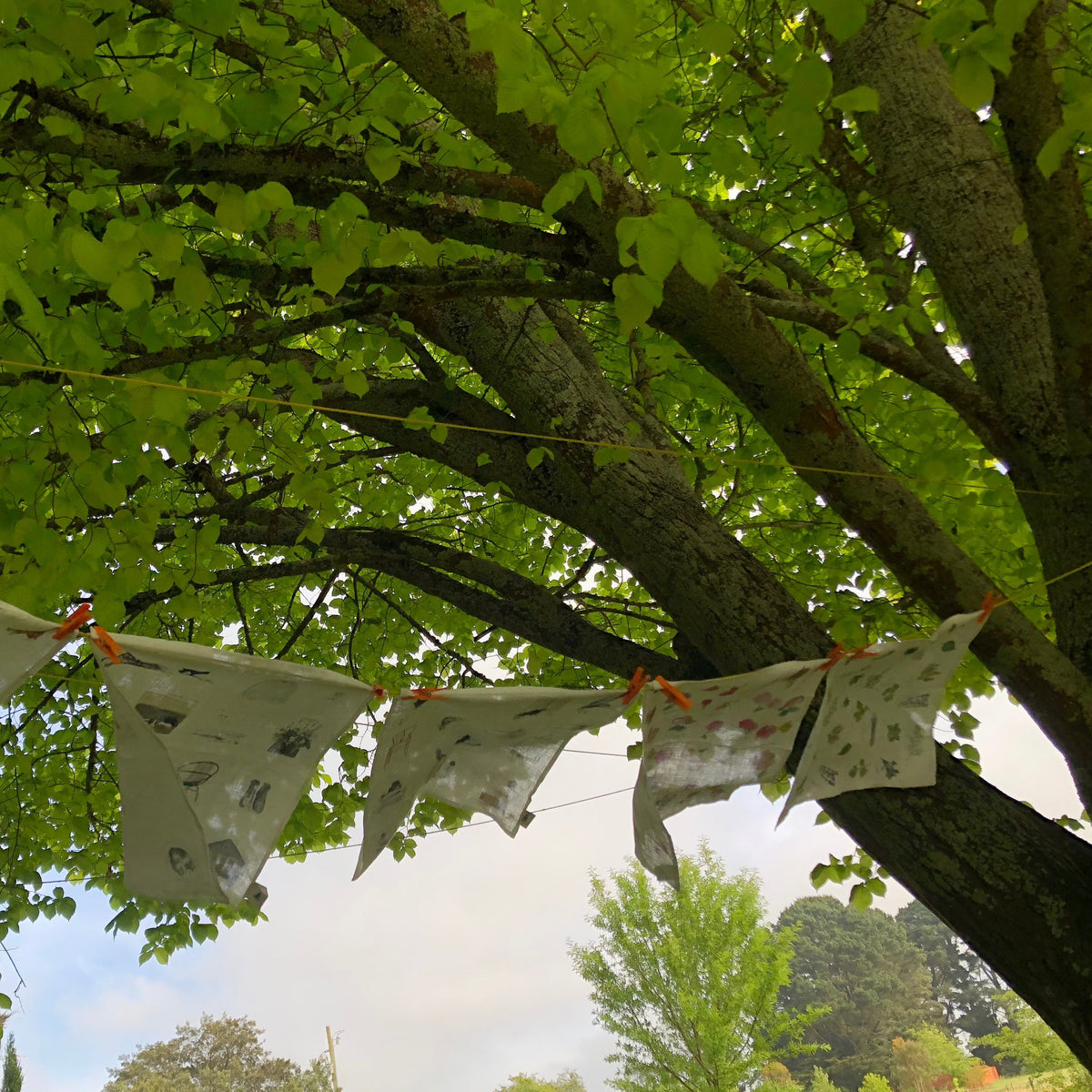 ISABELLE BOINOT HANKACHI – Cavaletti Gallery